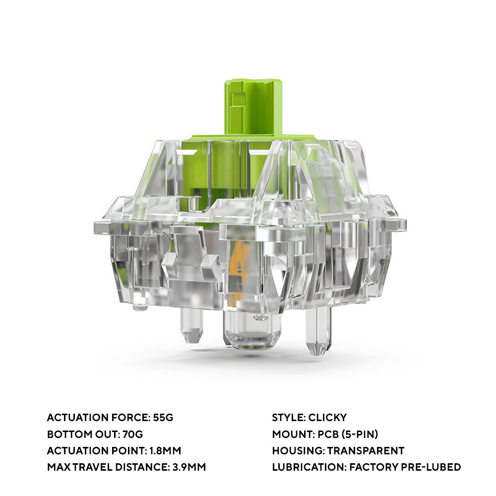 0810069975528.jpg?v=1690883213