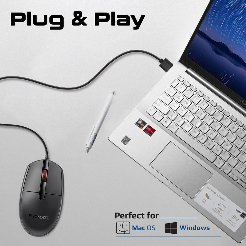 Roll over image to zoom in