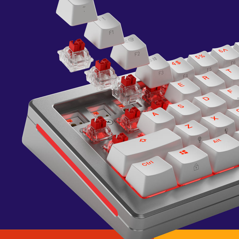 Roll over image to zoom in