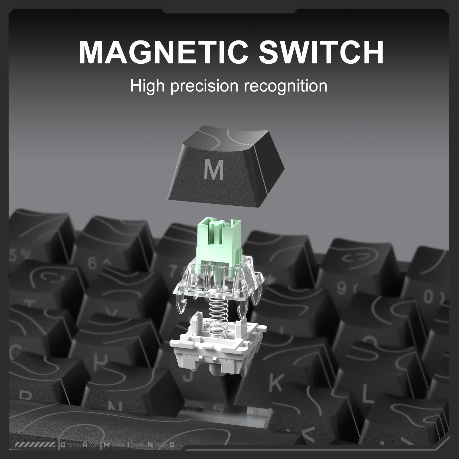 Roll over image to zoom in