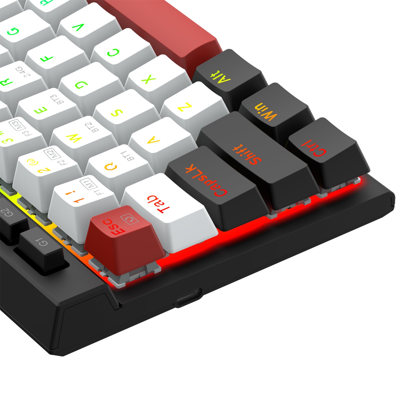 Roll over image to zoom in