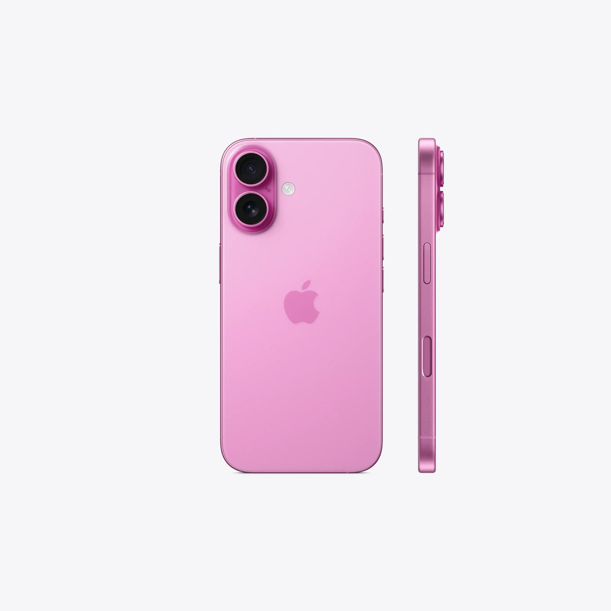 Roll over image to zoom in