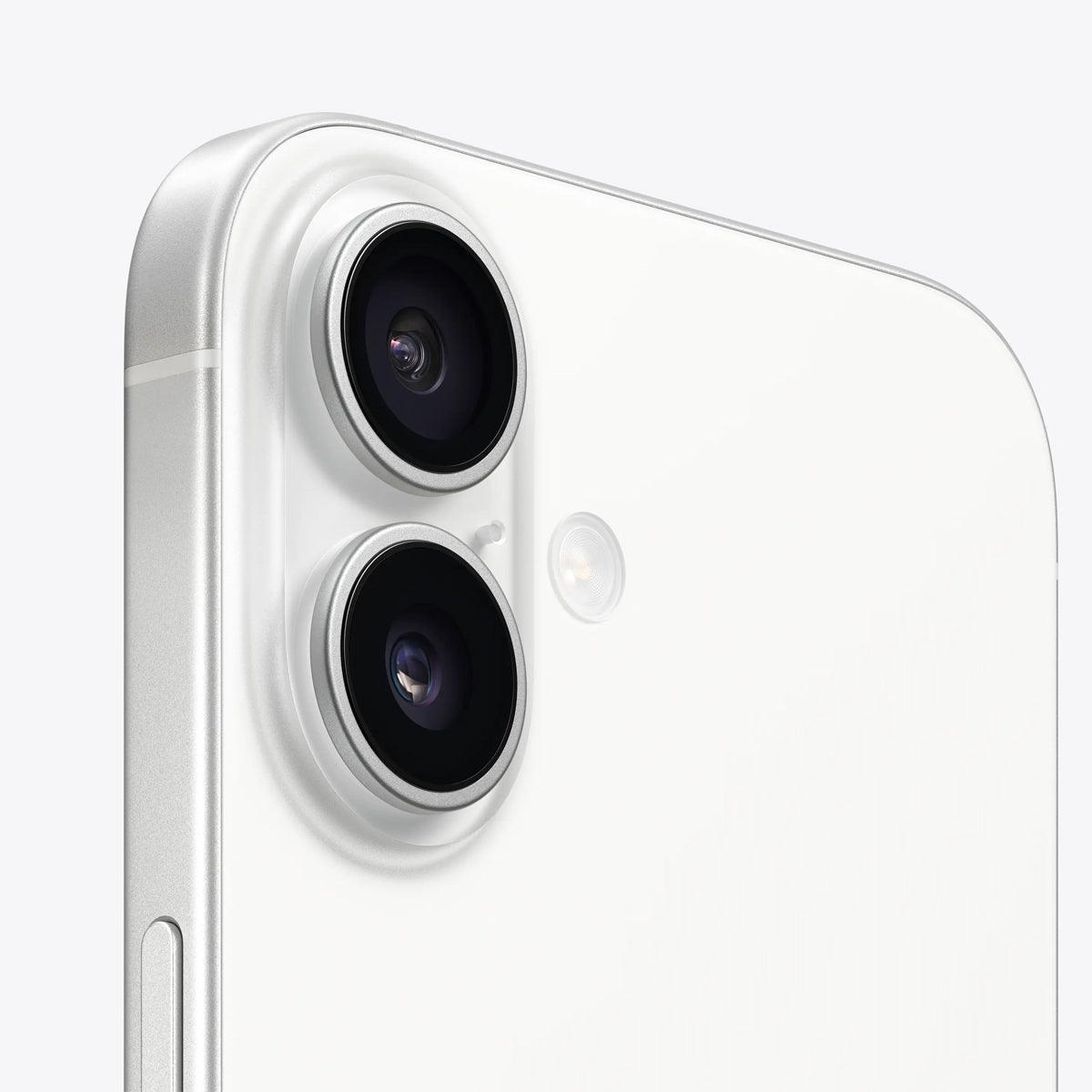 Roll over image to zoom in