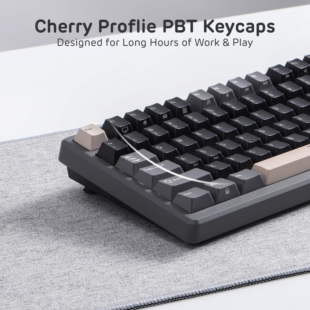 Royal Kludge RK-M75 Tri-Mode RGB 81 Keys Hot-Swappable Mechanical ...