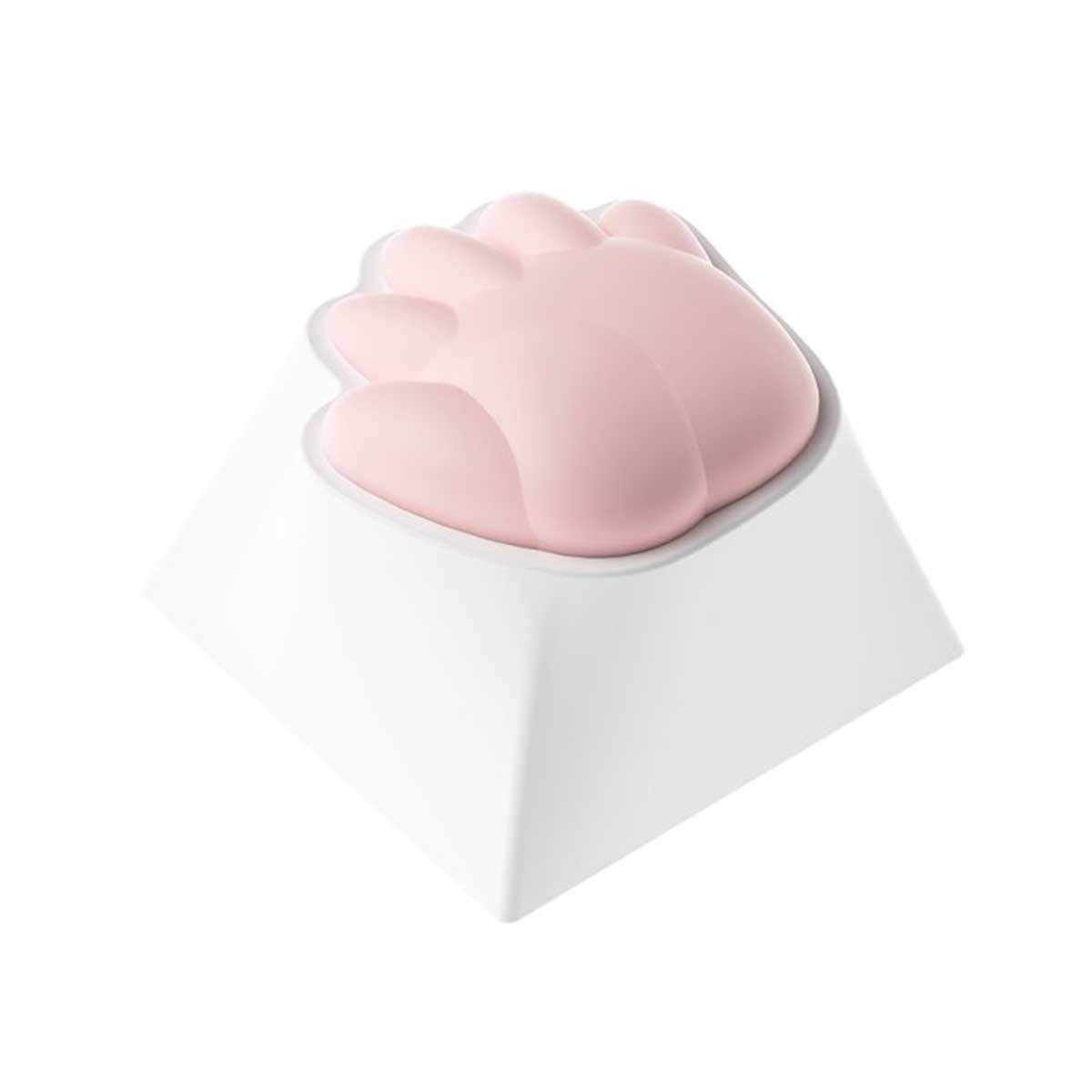 Roll over image to zoom in