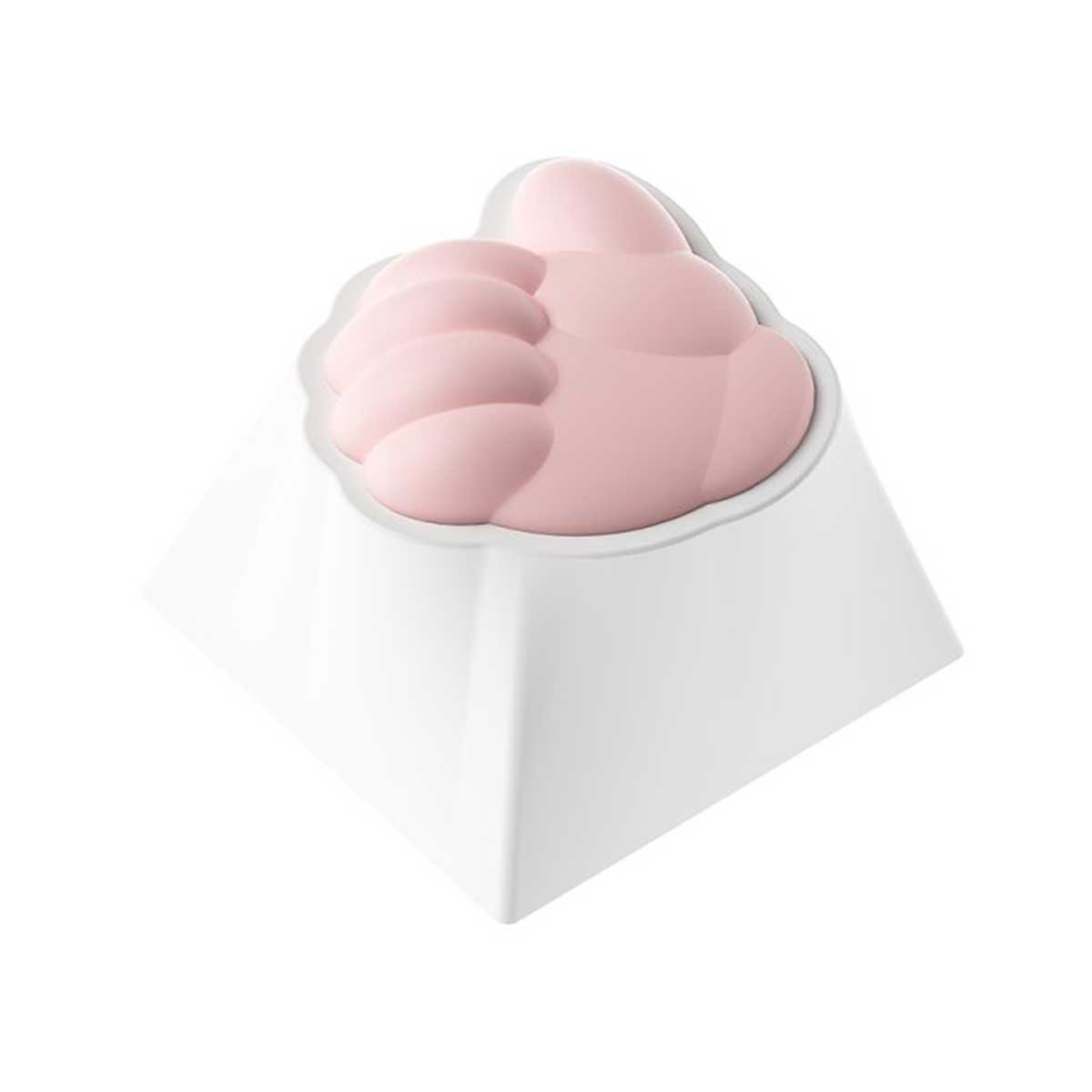 Roll over image to zoom in