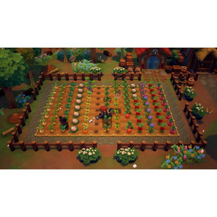 Roll over image to zoom in