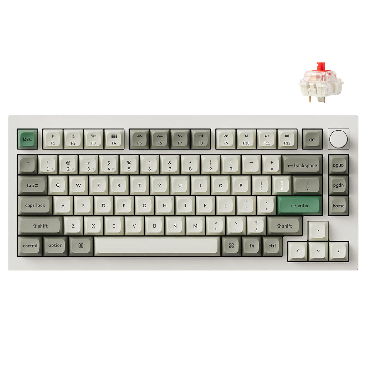 main_0623e20a-8ca2-4538-80ca-82e2c68aa063.jpg?v=1721556279