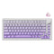 Akko 5075 V3 Multi-Mode RGB Hot-Swappable Mechanical Keyboard (Gradient ...