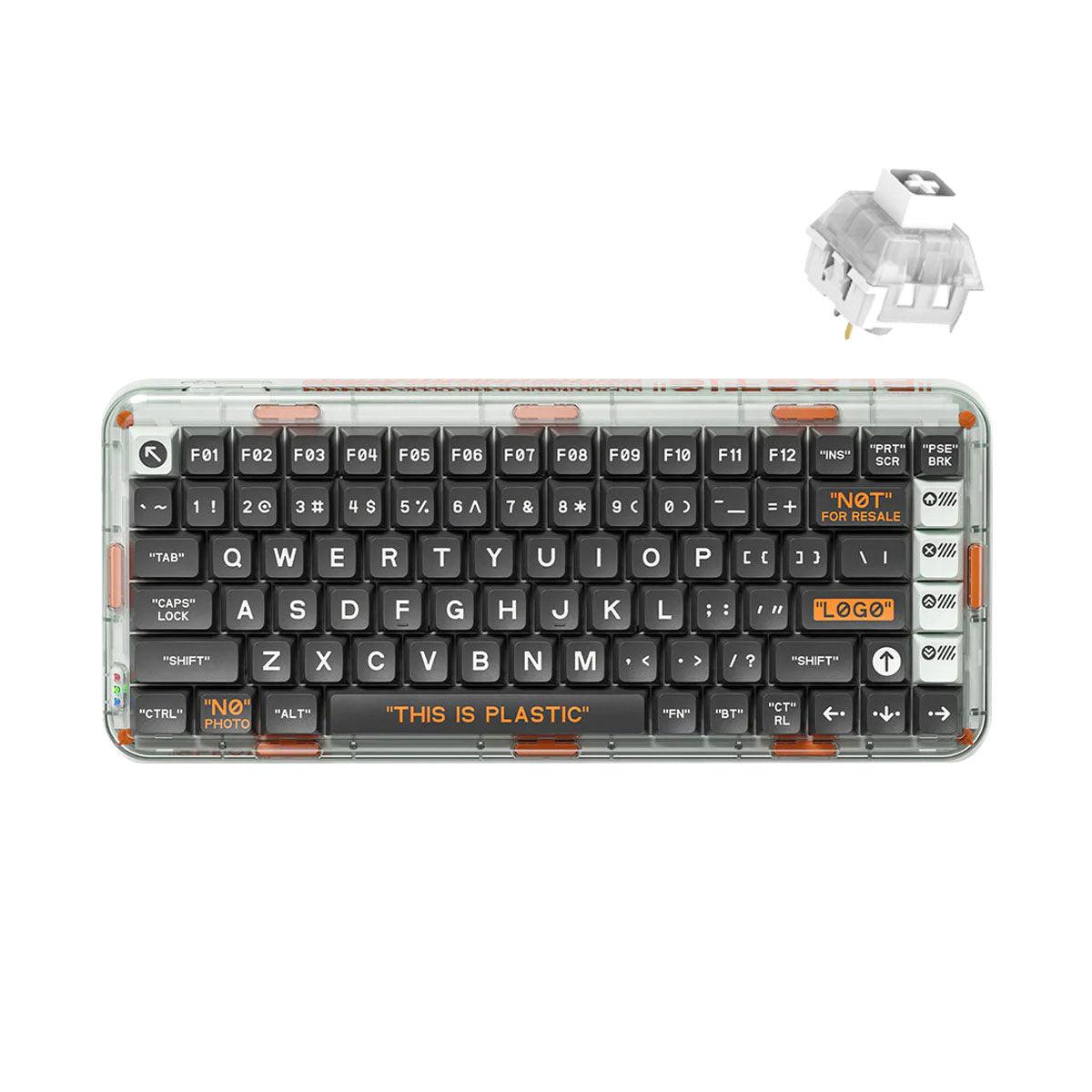 6974856980158.jpg?v=1676918426