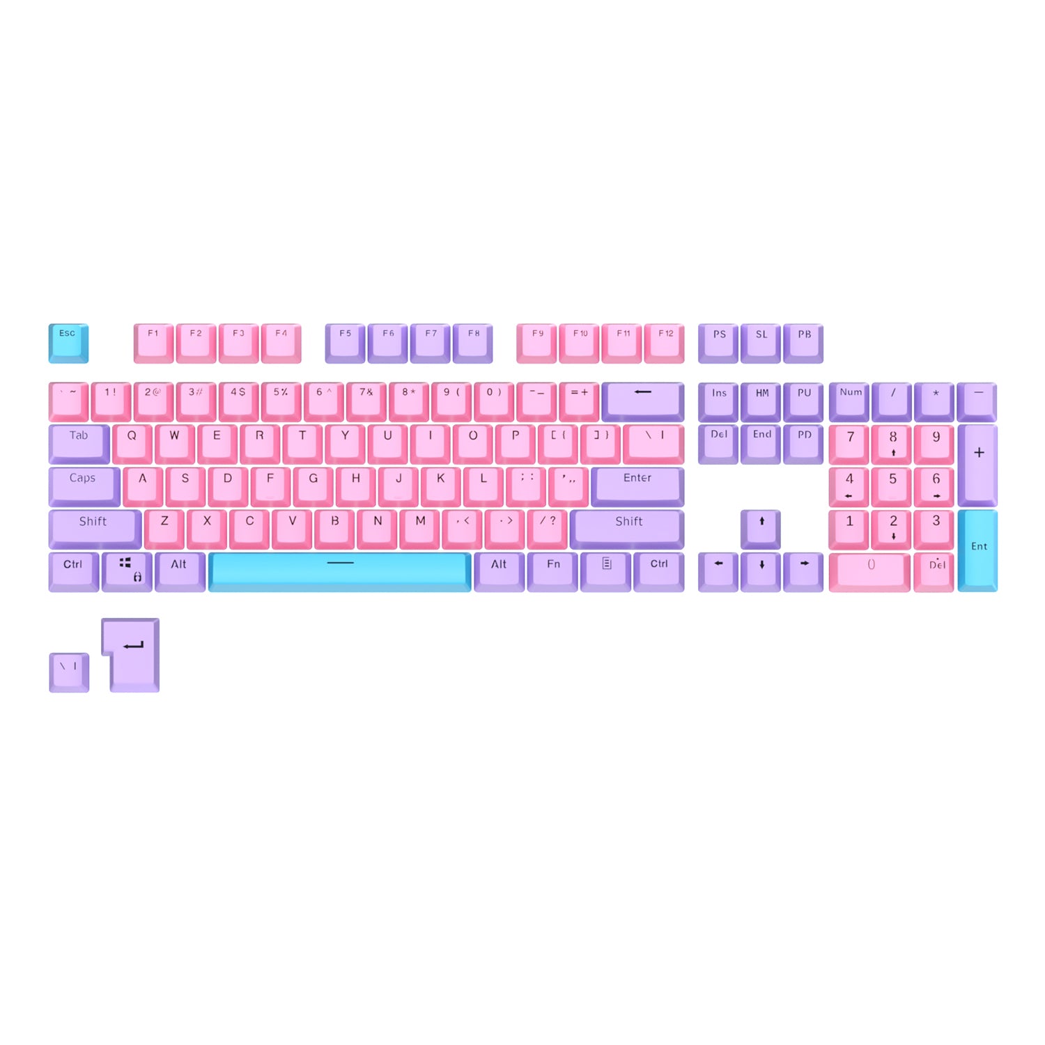 PBT3-1.jpg?v=1678356033