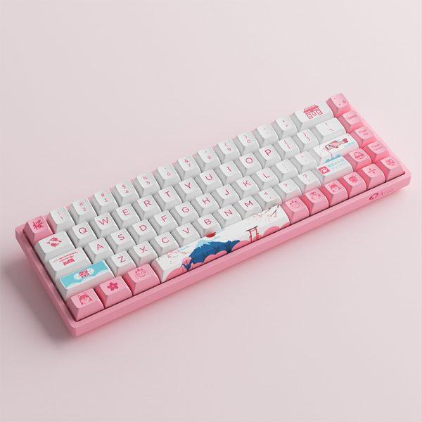 AKKO World Tour Tokyo R2 3068B Plus Multi-Modes RGB Mechanical Keyboard ...