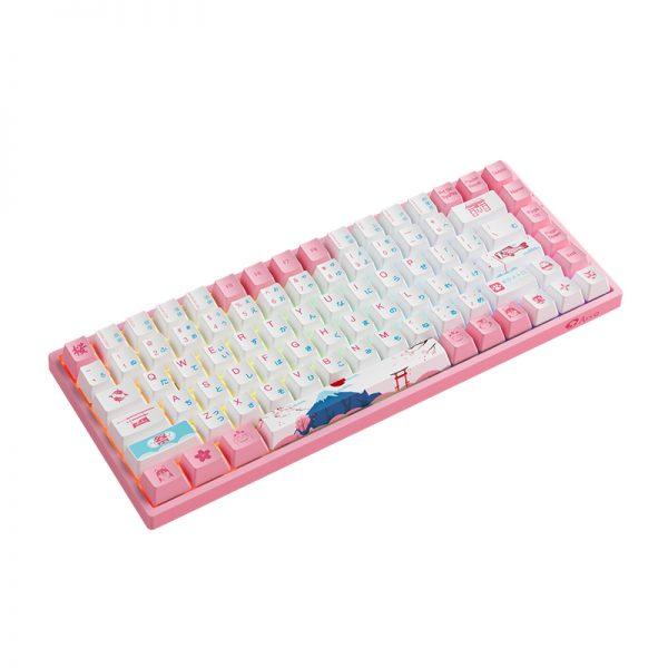 AKKO World Tour Tokyo R2 3084B Plus Mechanical Keyboard (AKKO CS Jelly ...