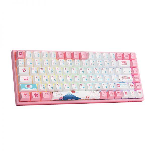 AKKO World Tour Tokyo R2 3084B Plus Mechanical Keyboard (AKKO CS Jelly ...