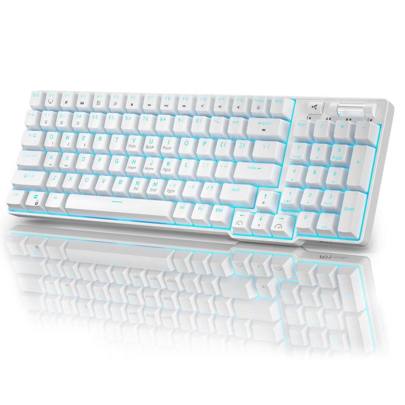 ROYAL KLUDGE RK96 Tri-Mode RGB 96 Keys Hot Swappable Mechanical ...