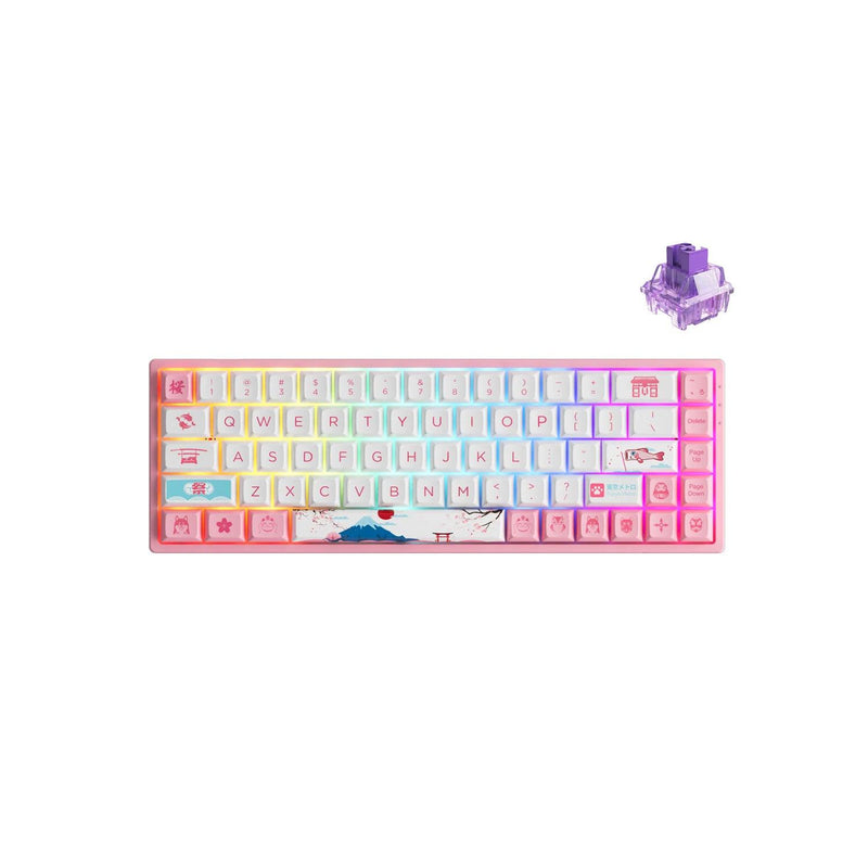 AKKO World Tour Tokyo R2 3068B Plus Multi-Modes RGB Mechanical Keyboard ...